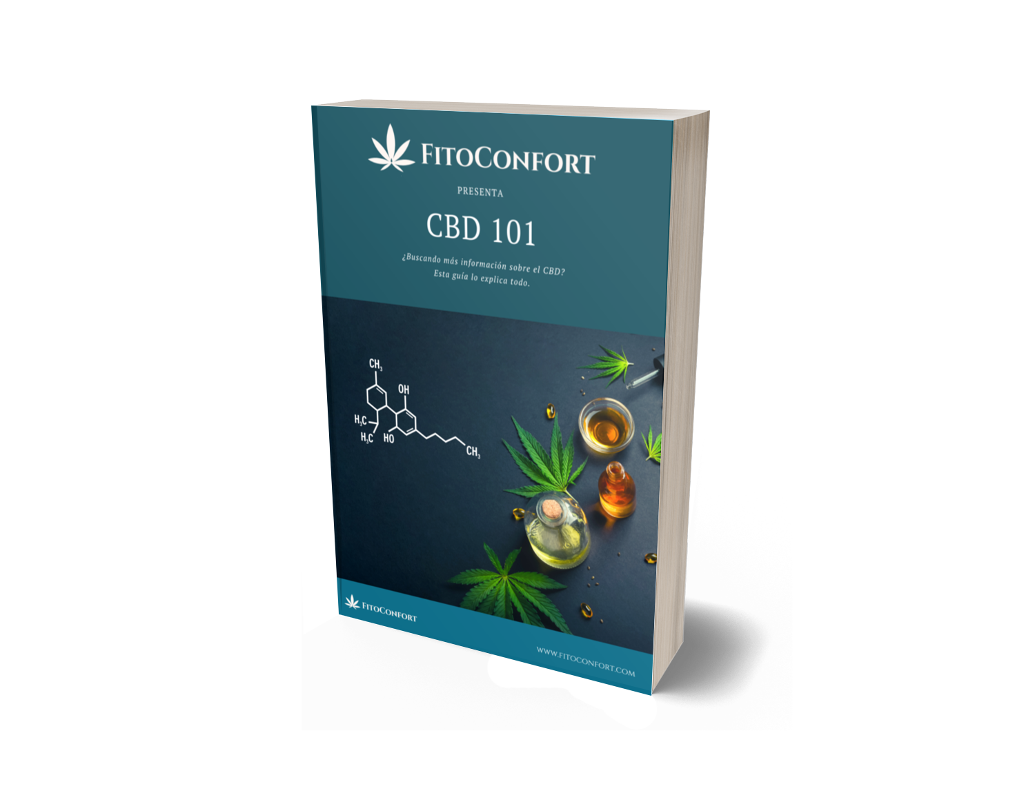 Guía CBD 101 – FitoConfort